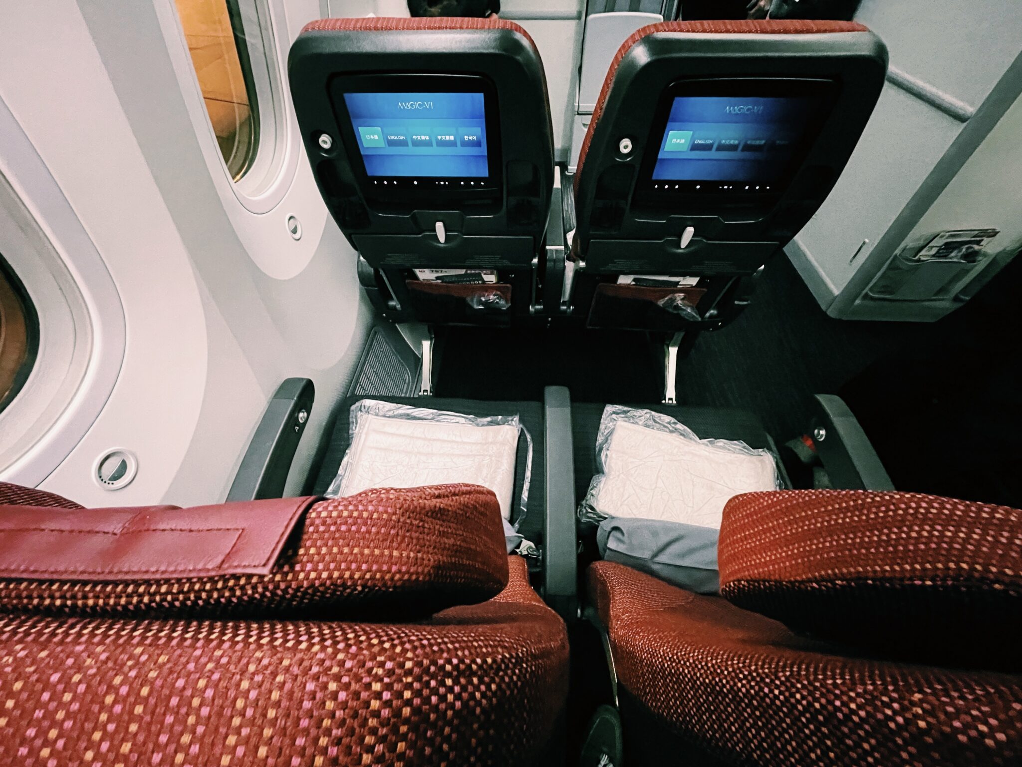 【最高のエコノミークラス】JALのB787-9のエコノミークラスが快適。搭乗をブログレビュー。 | すけすけのマイル乞食