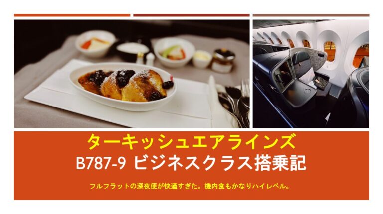 【本当にいい】ターキッシュエアラインズのB787-9ビジネスクラス搭乗レビュ―。 | すけすけのマイル乞食